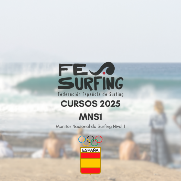 Federación Española de Surfing